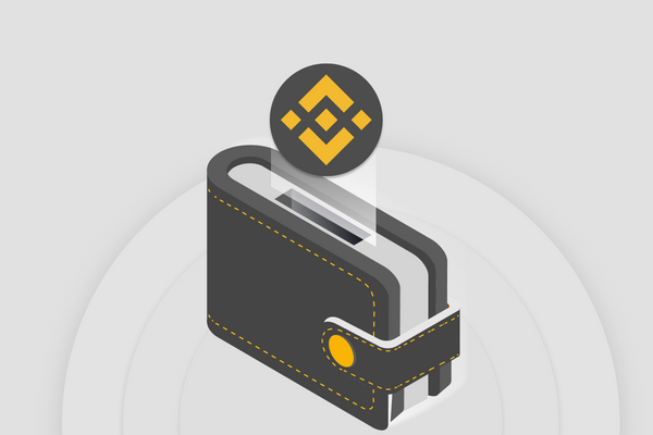 How to Add Binance Smart Chain (BSC) BEP-20 Tokens on CoolWallet Pro a